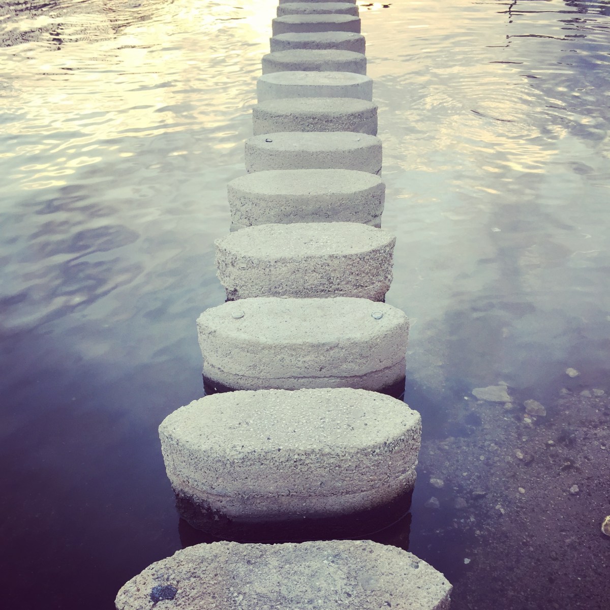 Inspirational Stepping Stones – Jessica Magnin